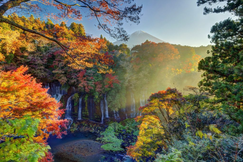 Relax and enjoy the Fujinomiya Sake Tour – MT.FUJI TAXI TOURS from ...